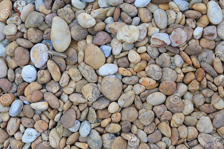Color Pebble Stone on Ground for Texture Background Stock Photo - Image ...
