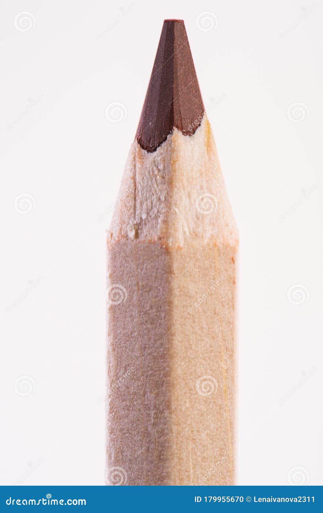 Brown Color Pencil Vertically. Macro Stock Photo - Image of macro ...