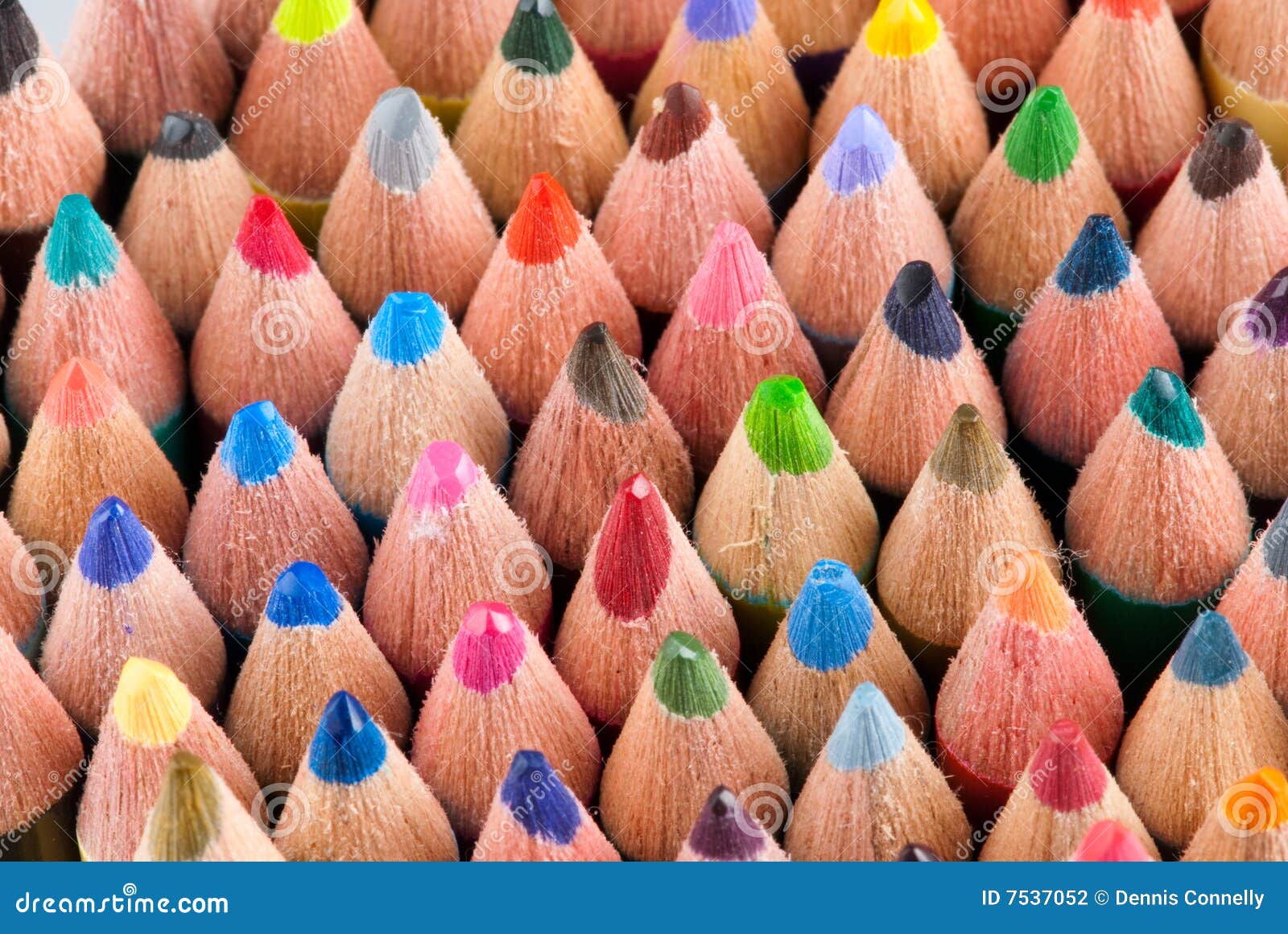 Color Pencils stock photo. Image of colors, office, crayon - 7537052