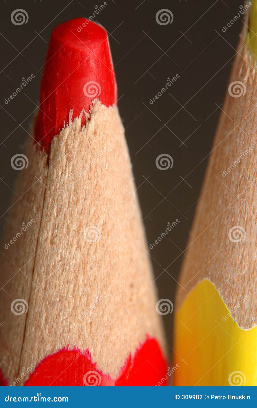 Color Pencils from Close Distance. Stock Photo - Image of tree ...