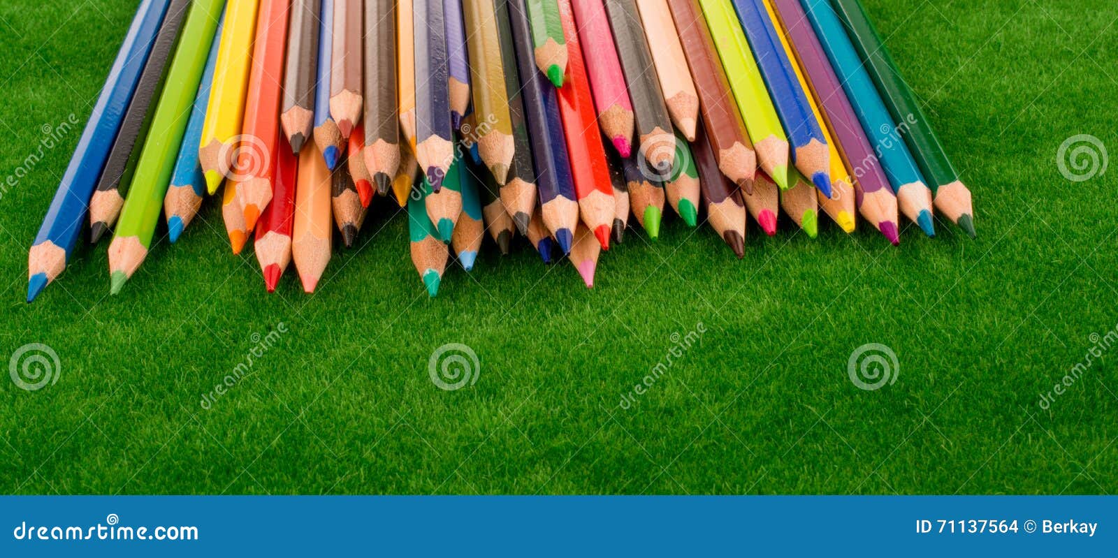 Color pencils stock photo. Image of education, group - 71137564
