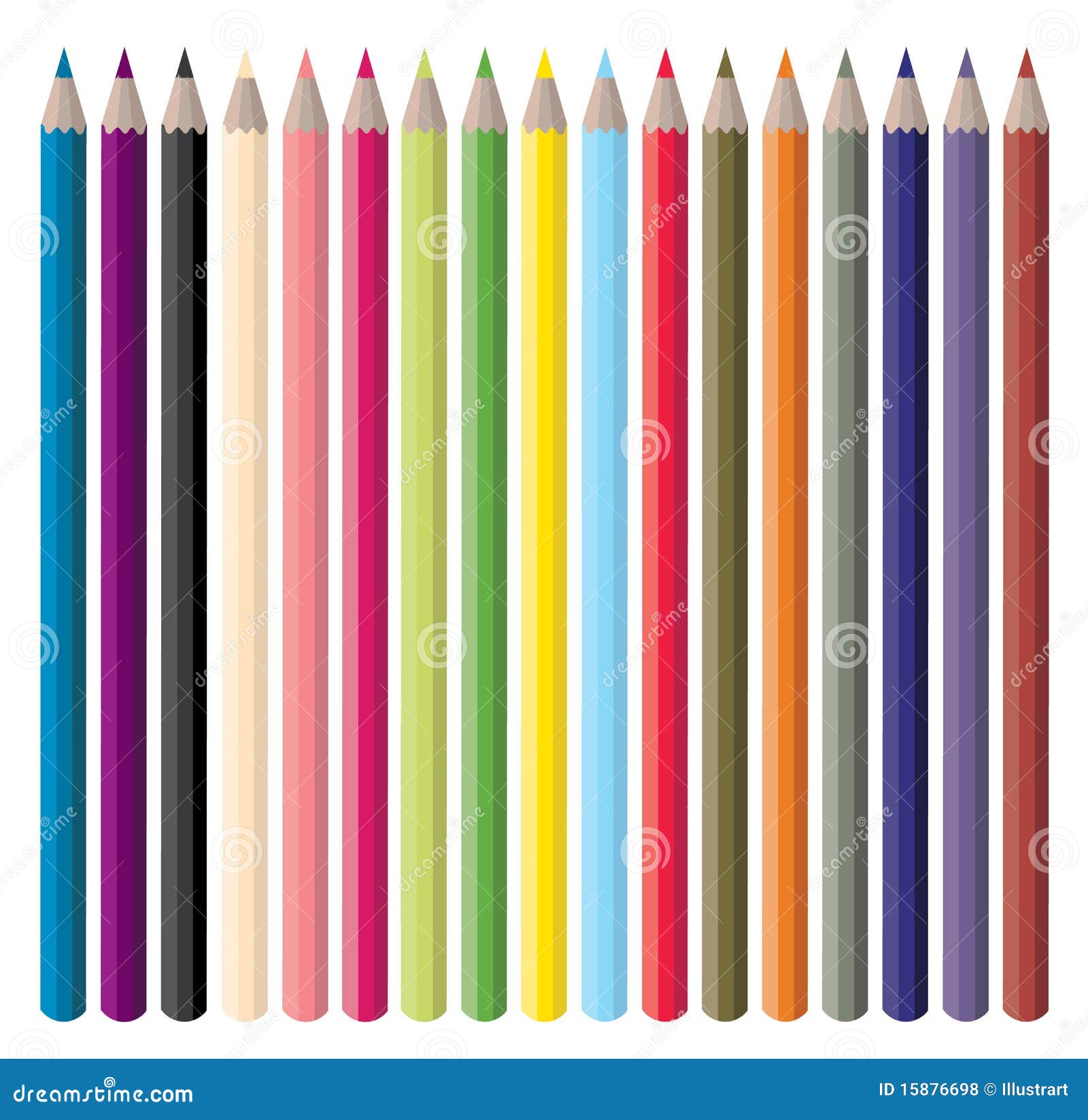 Color Pencils Vector stock vector. Illustration of sharp - 15876698