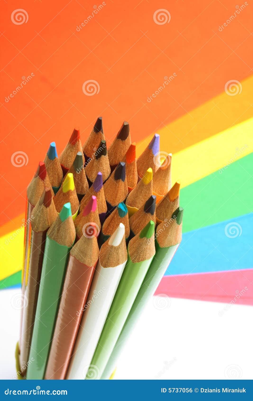 Color Pencils on White Background Stock Photo - Image of education ...