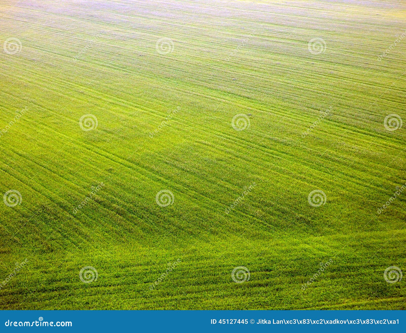 Color Photography of Fields from Top View Stock Image - Image of beauty ...