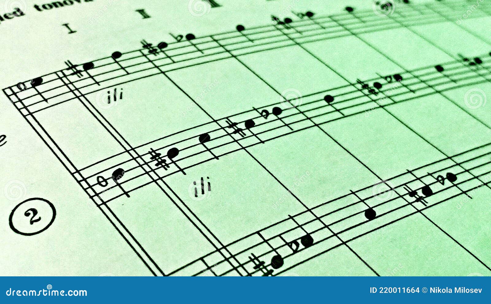 Music notes on the sheet stock photo. Image of random - 220011664