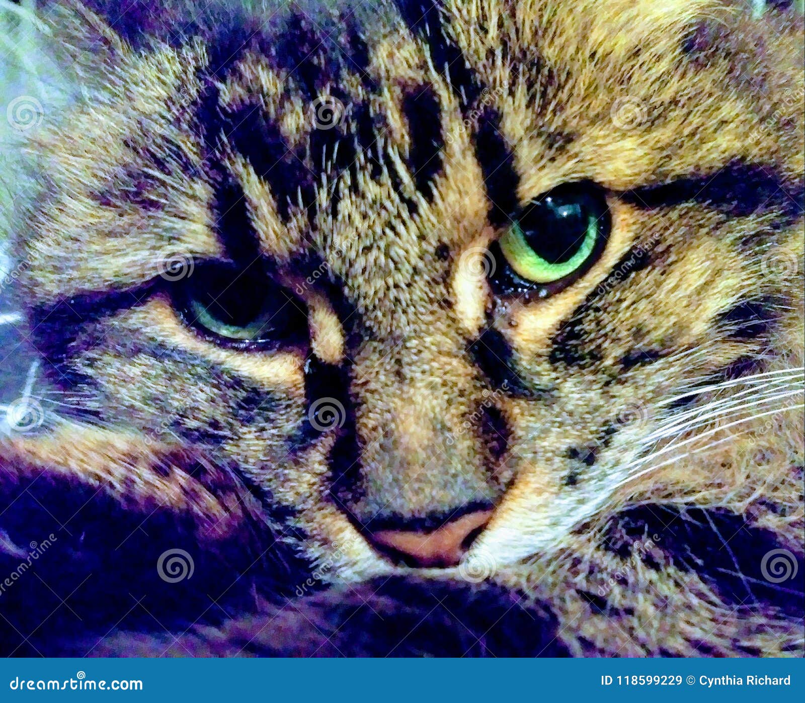 Chatouille Stock Photos - Free & Royalty-Free Stock Photos from Dreamstime