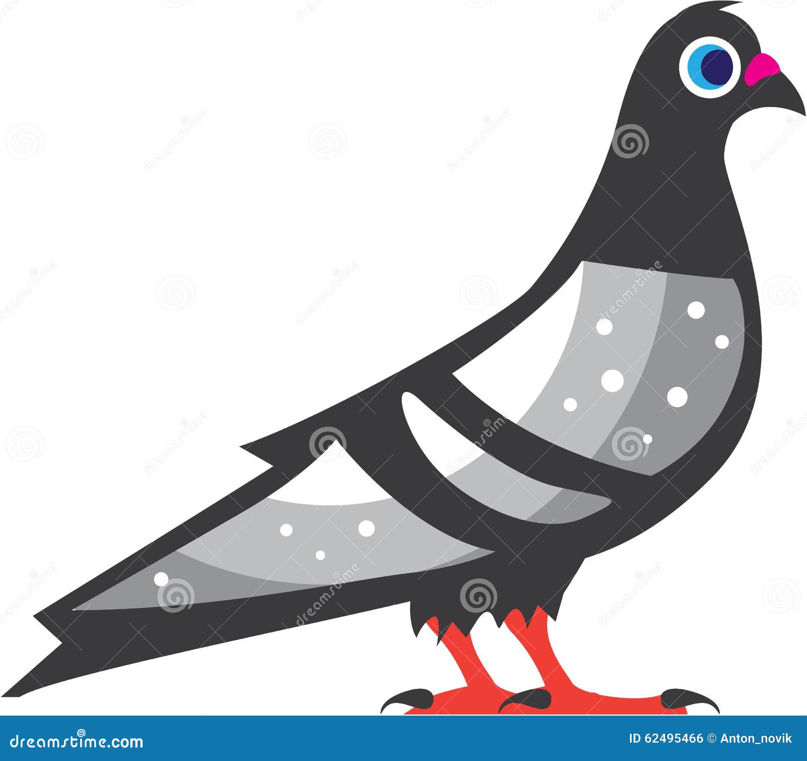 Color Pigeon Dove Vector stock vector. Illustration of alive - 62495466