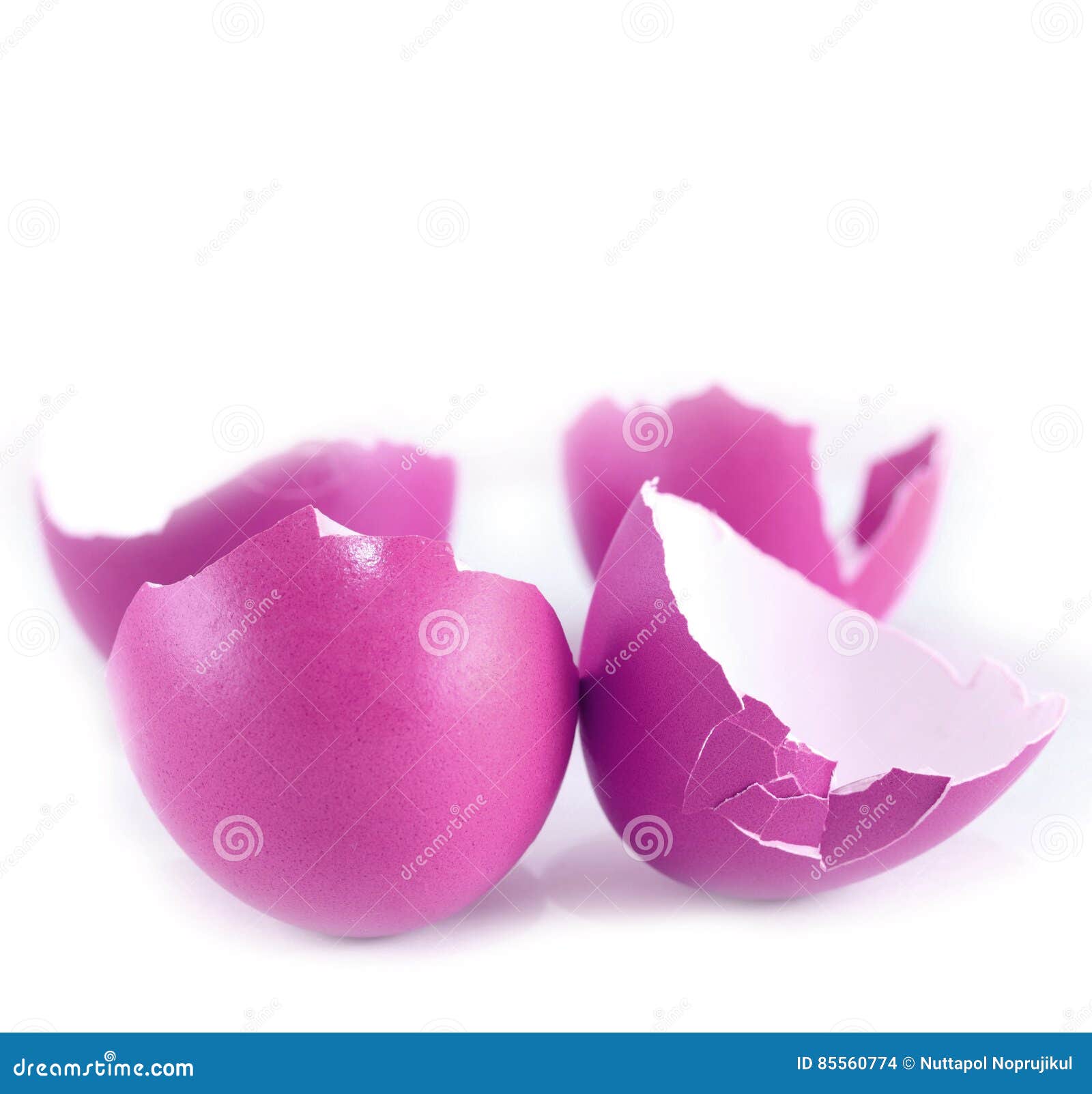 Color Pink Egg Shell on White Background. Stock Photo - Image of life ...