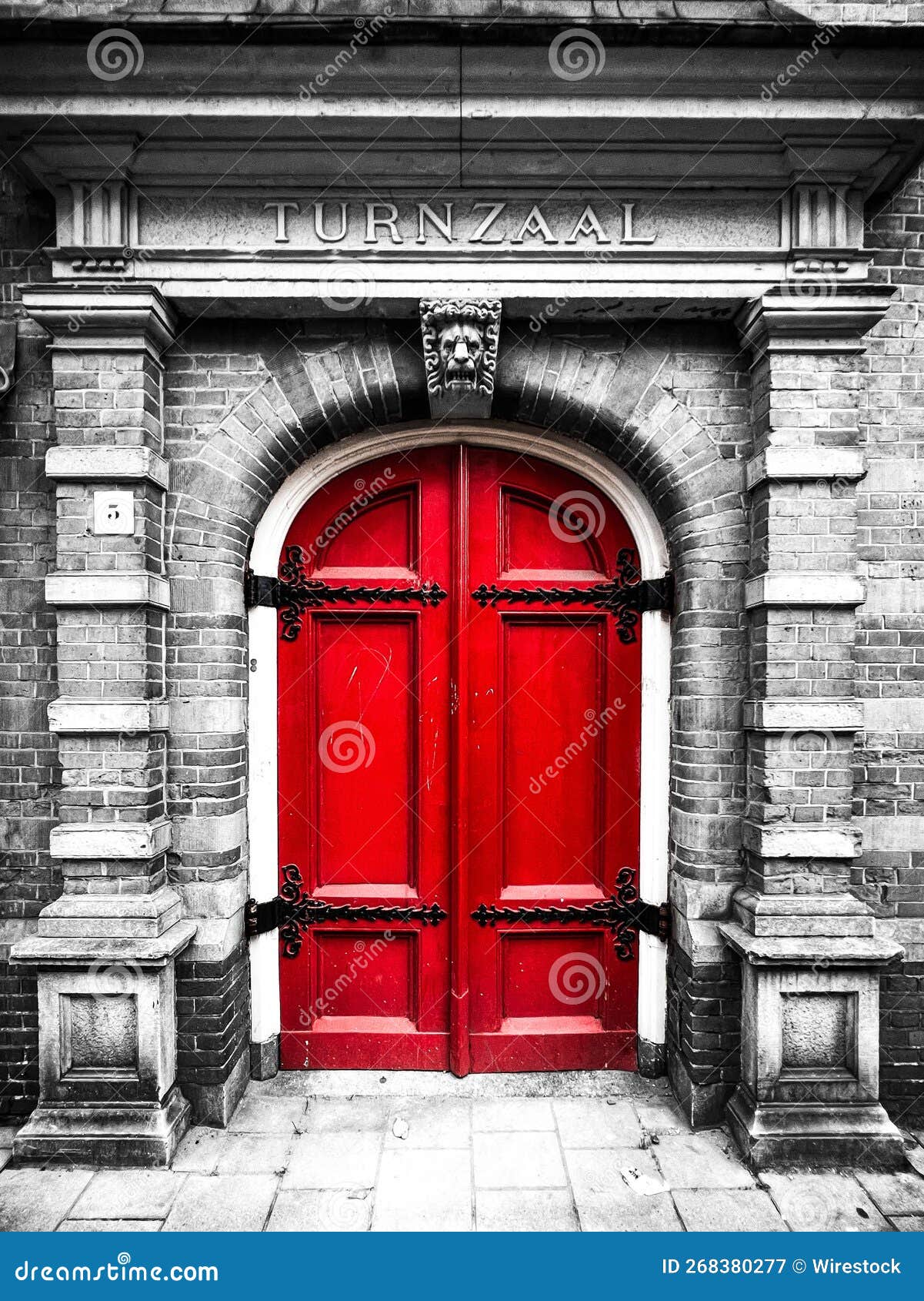 Grayscale Red Pop Stock Photos - Free & Royalty-Free Stock Photos from ...