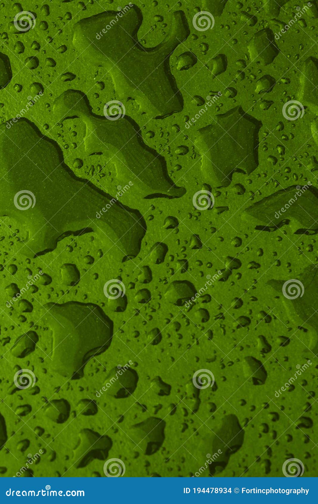 Color Raindrops Wallpaper and Background Stock Photo - Image of purple ...