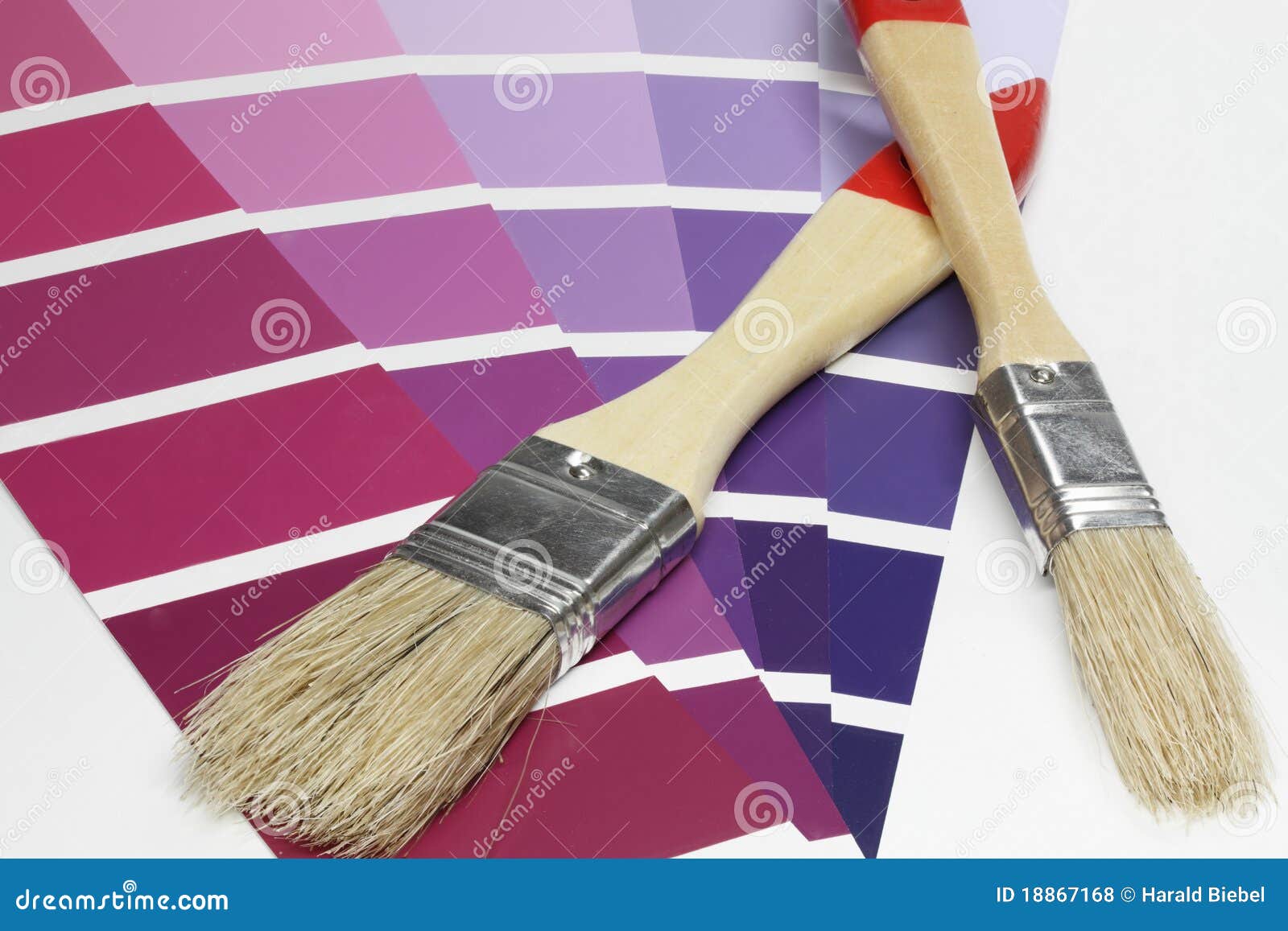 Color Sample Charts stock photo. Image of flat, room - 18867168