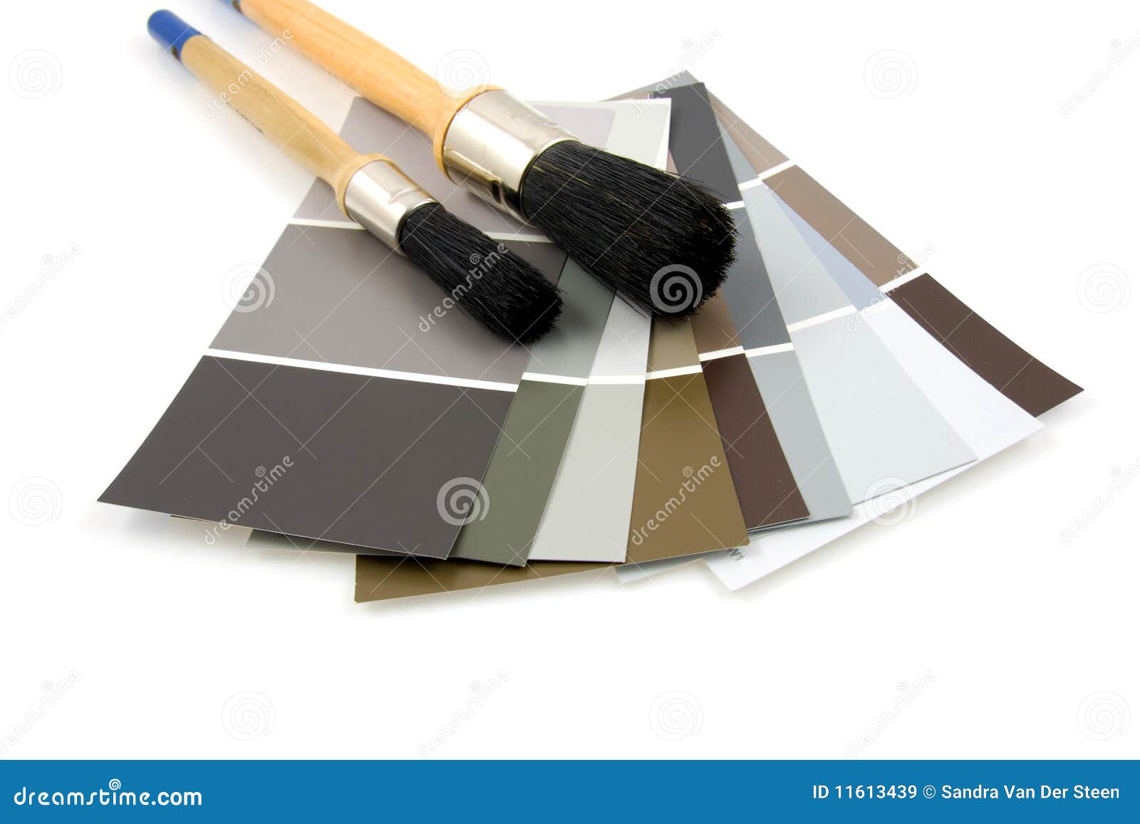 Color samples for painting stock image. Image of colors - 11613439