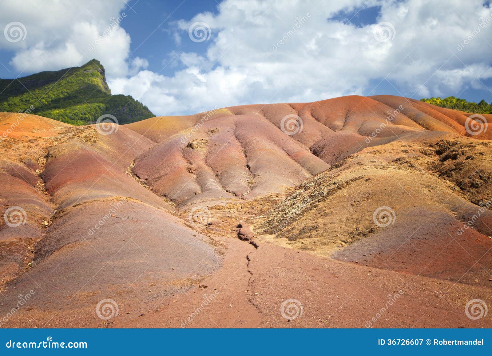 Color Sands stock image. Image of jungles, physics, palm - 36726607
