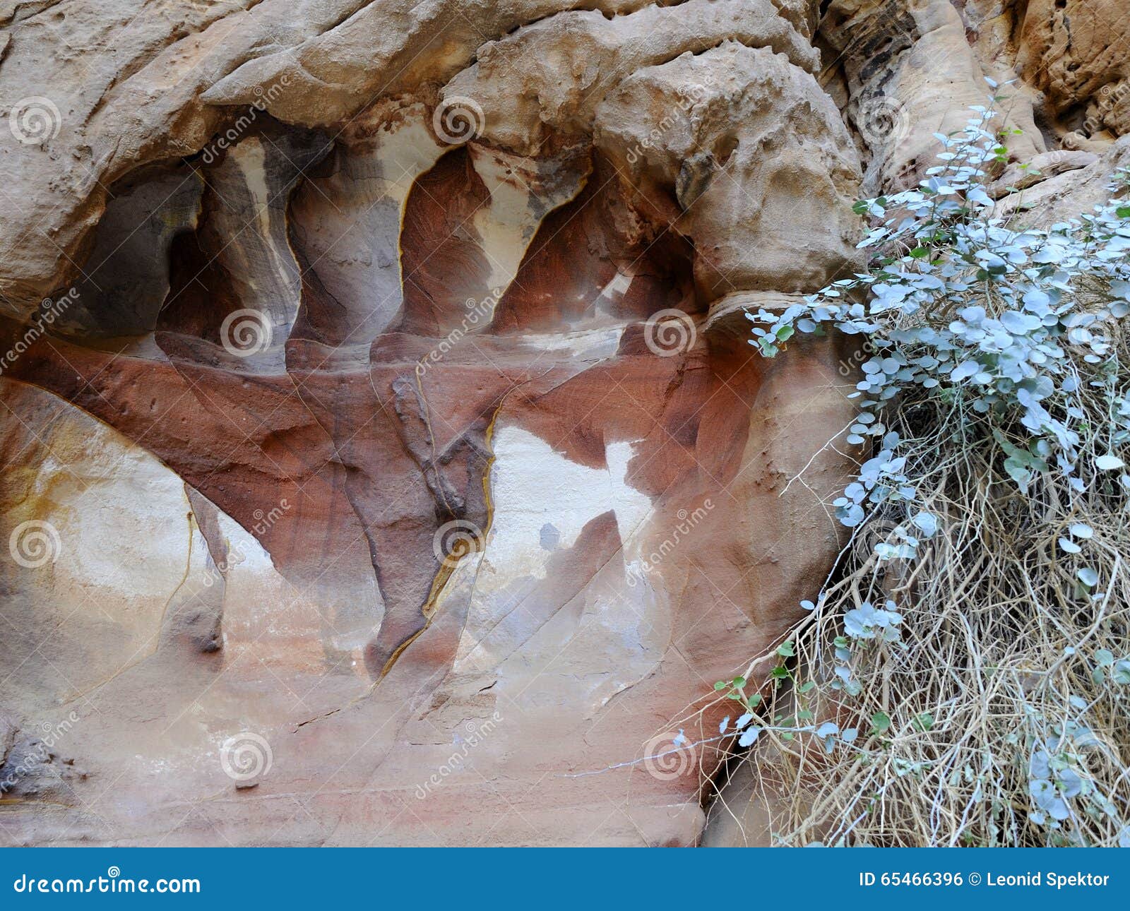 Color Sandstone Rocks in Jordan Desert. Stock Photo - Image of desert ...