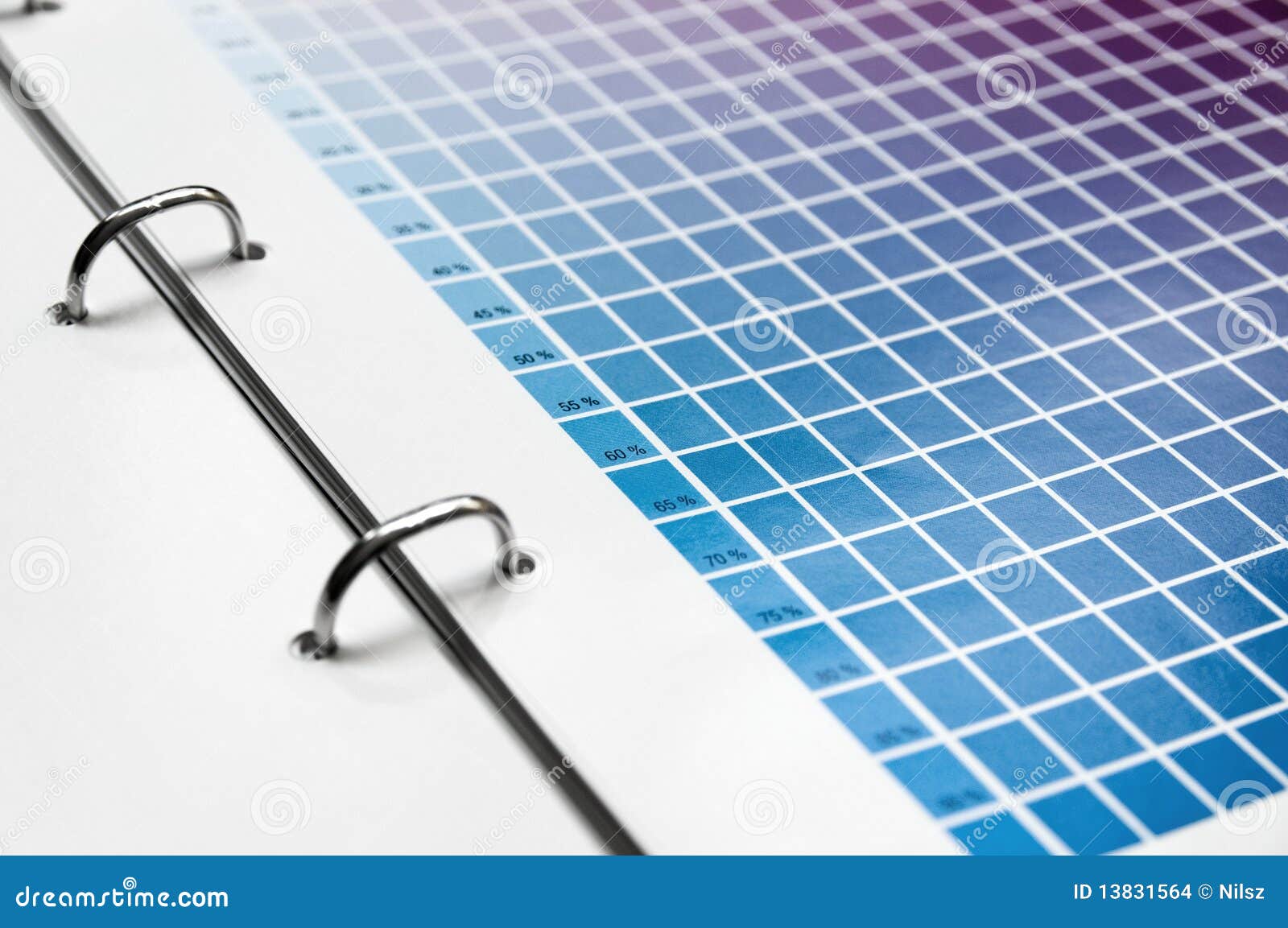 Color Scale Chart Picture. Image: 13831564