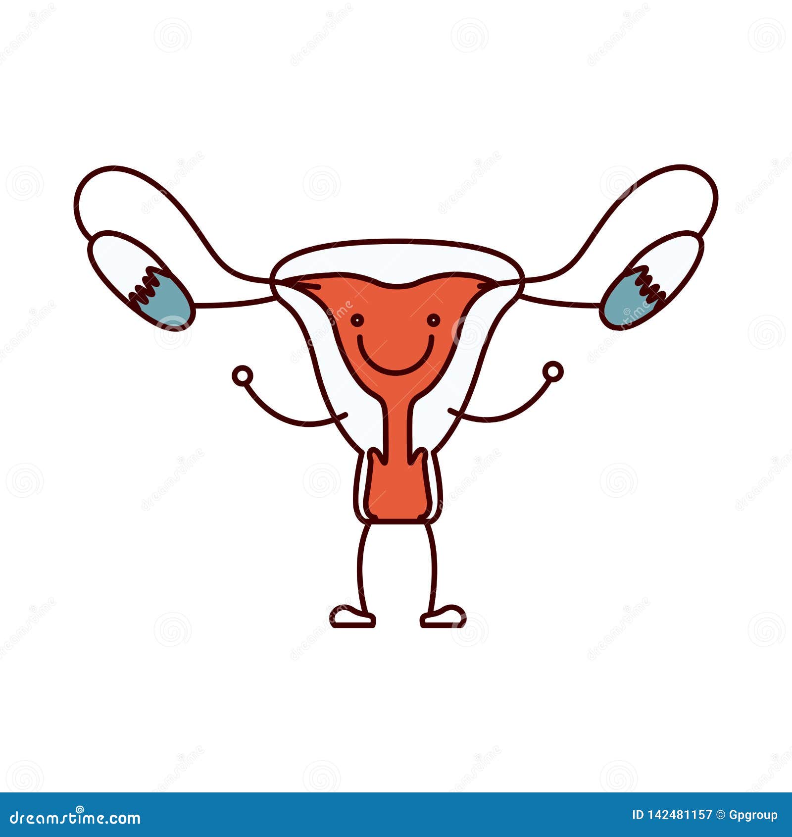 Color Sections Hand Drawing Contour Caricature Female Reproductive