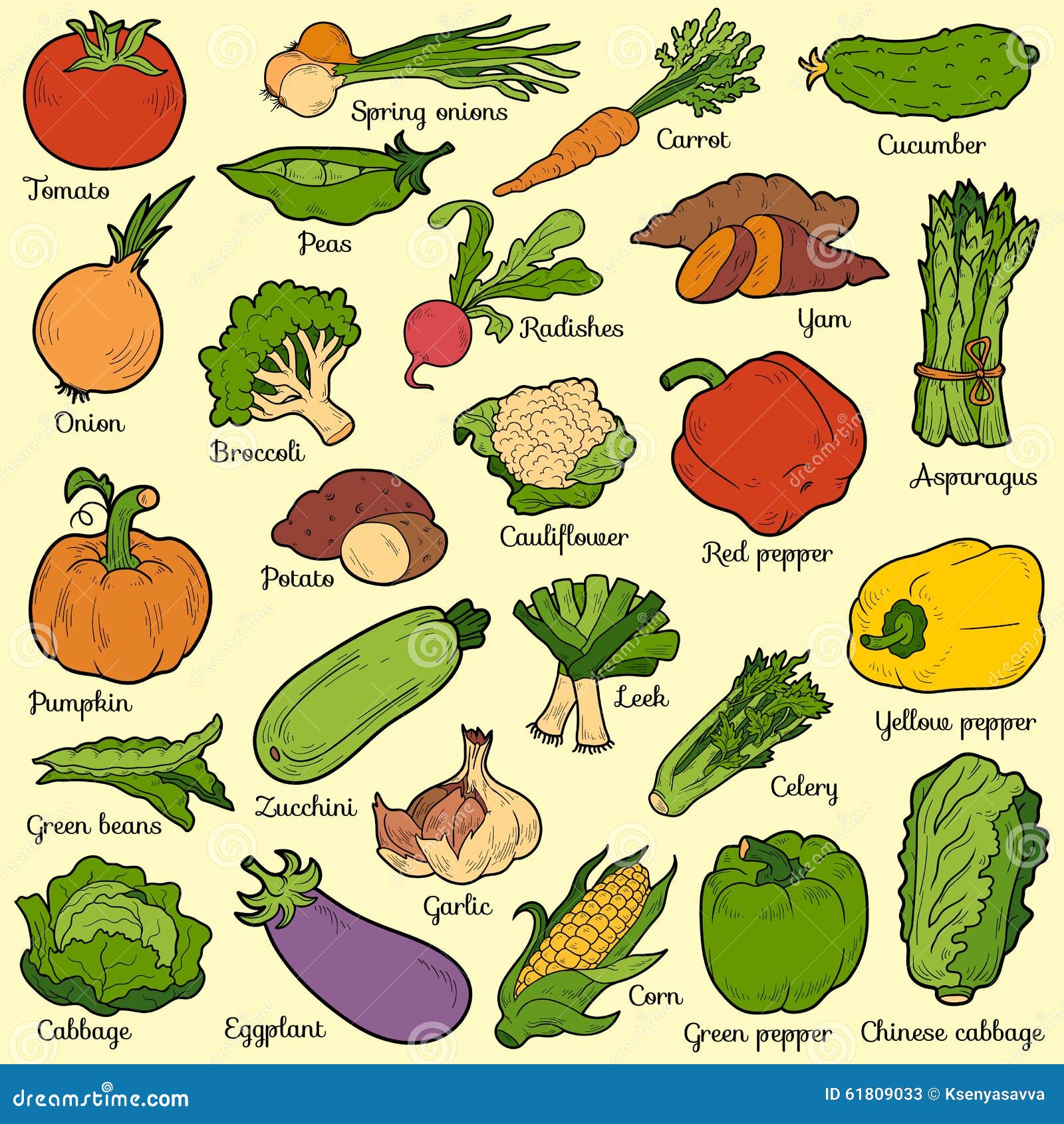 Color Set with Vegetables, Vector Cartoon Stickers Stock Vector ...