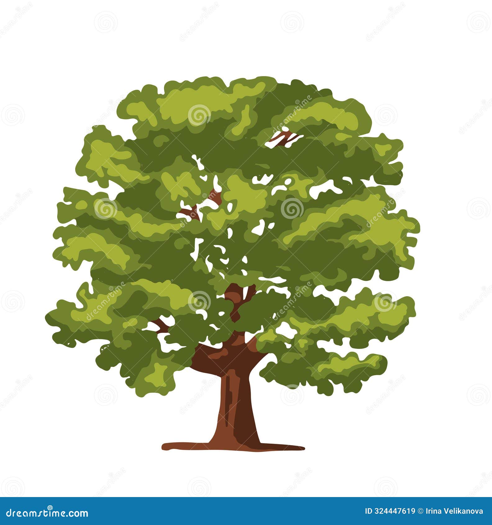 Color Simple Illustration of a Large Deciduous Oak Tree. Stock Vector ...