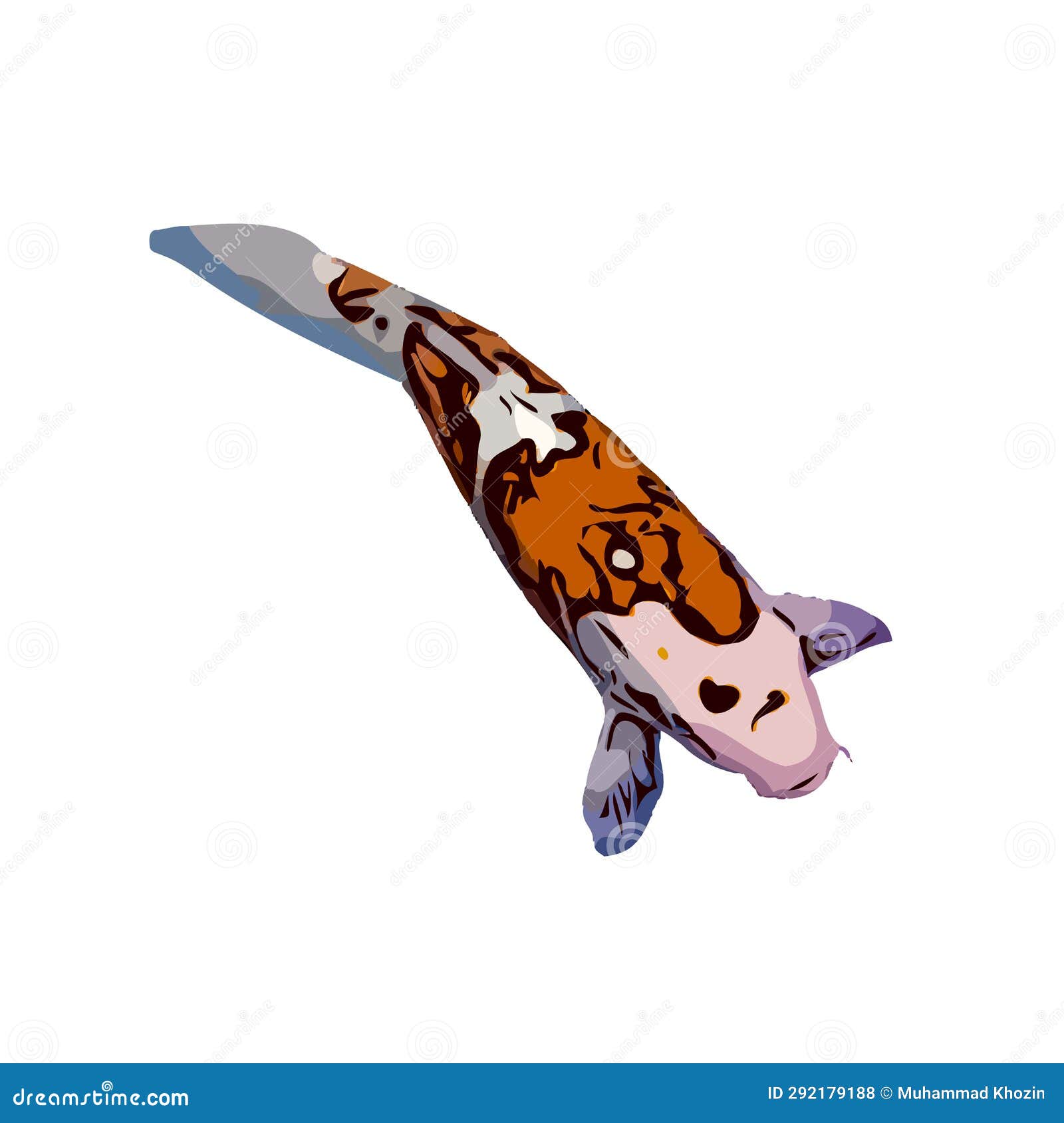 Color Sketch of Koi Fish for Brochure and Pamphlet Elements Stock ...