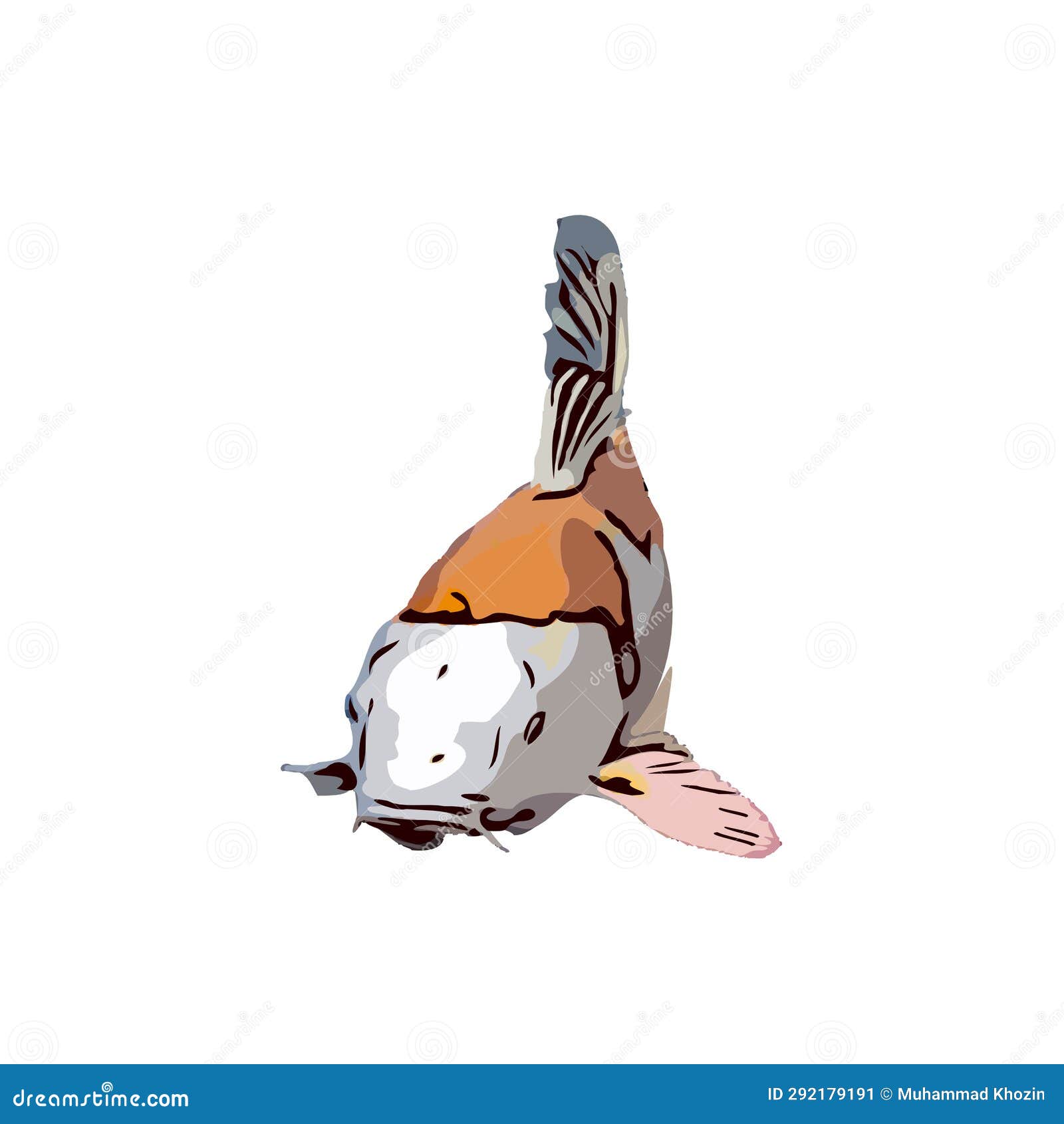 Color Sketch of Koi Fish for Brochure and Pamphlet Elements Stock ...