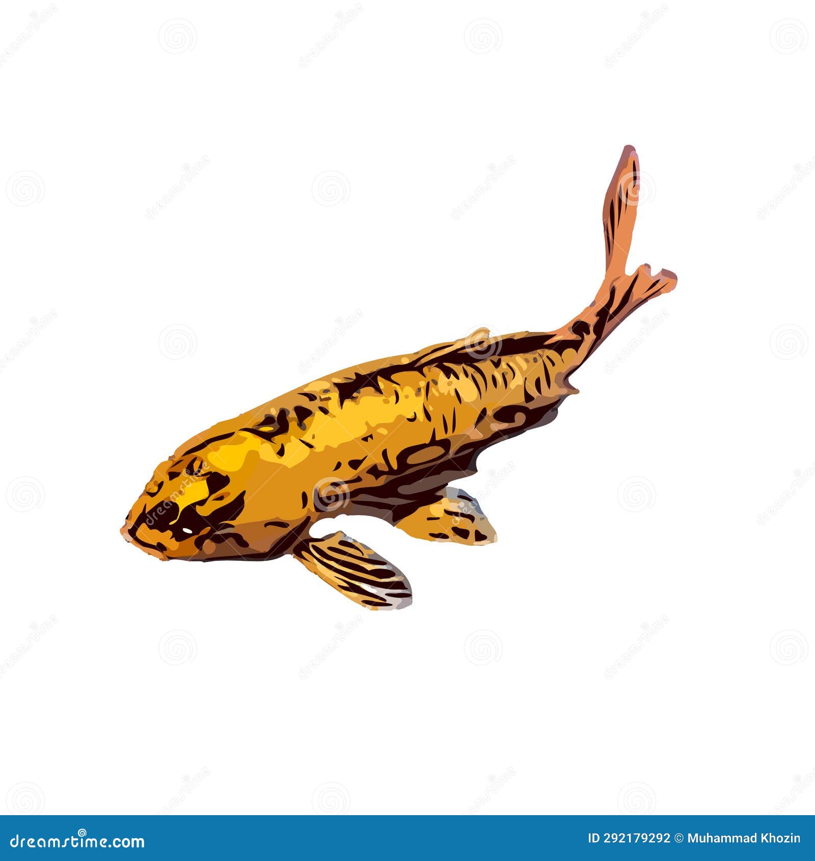 Color Sketch of Koi Fish for Brochure and Pamphlet Elements Stock ...