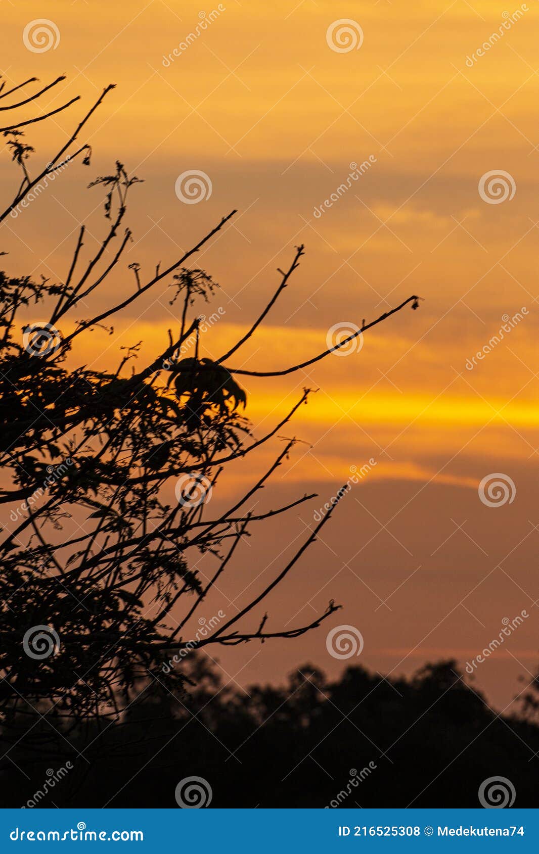 The Color of the Sky in the Evening Stock Photo - Image of cloudscape ...