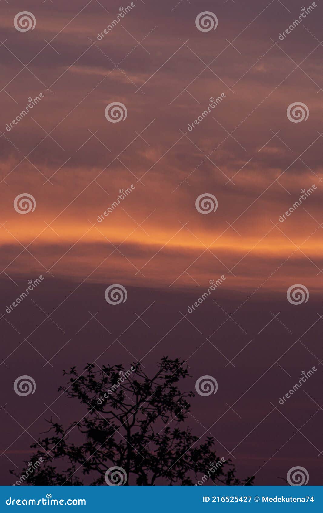 The Color of the Sky in the Evening Stock Image - Image of nature ...