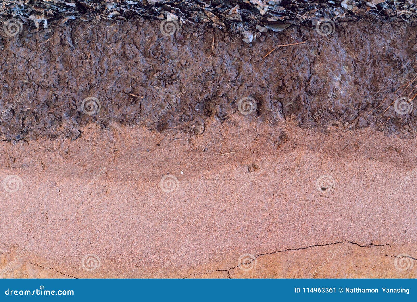 Color of the Soil Layers, Underground Texture Stock Image - Image of ...
