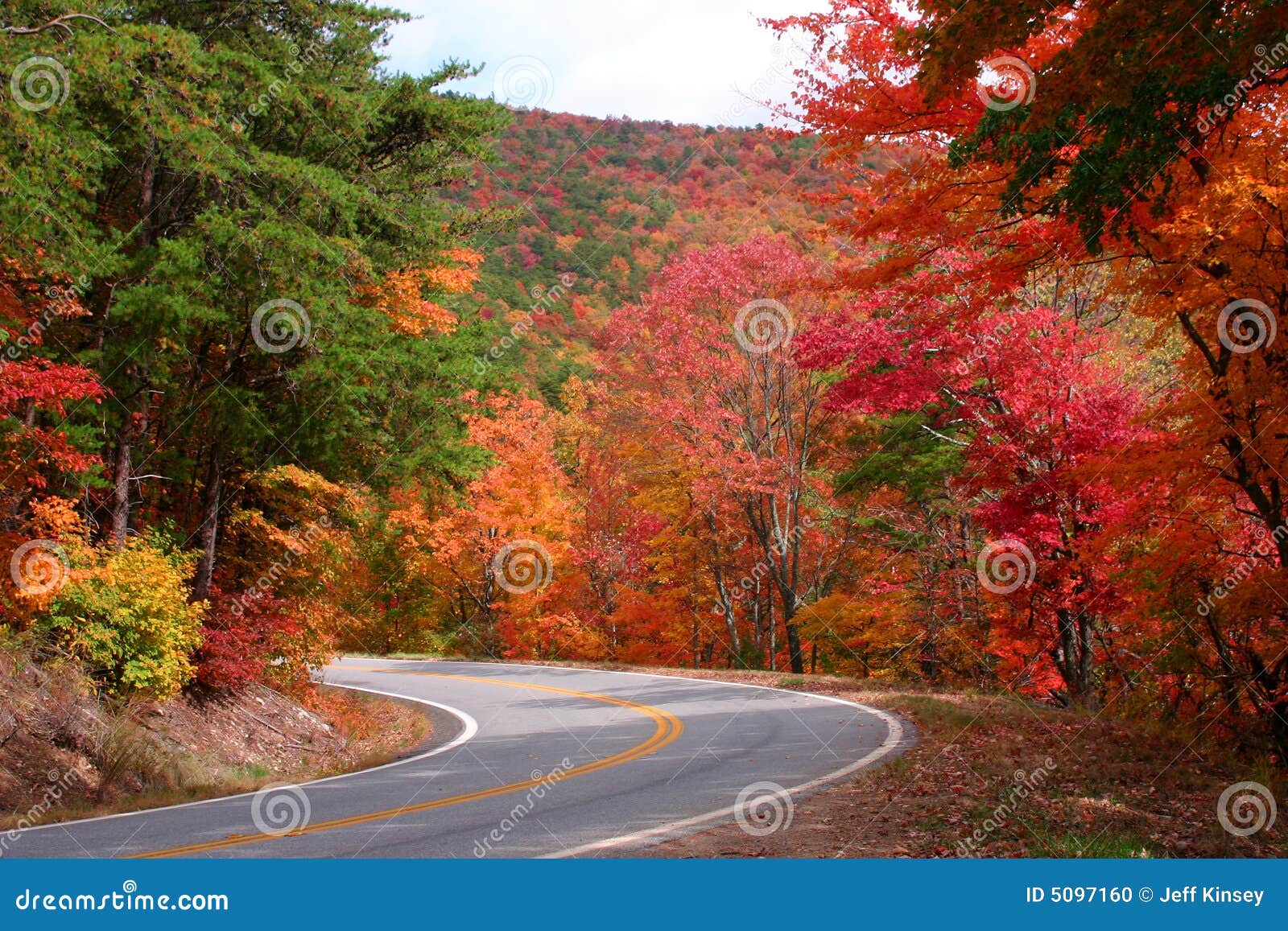 Color Splash stock photo. Image of yellow, nature, colorful - 5097160