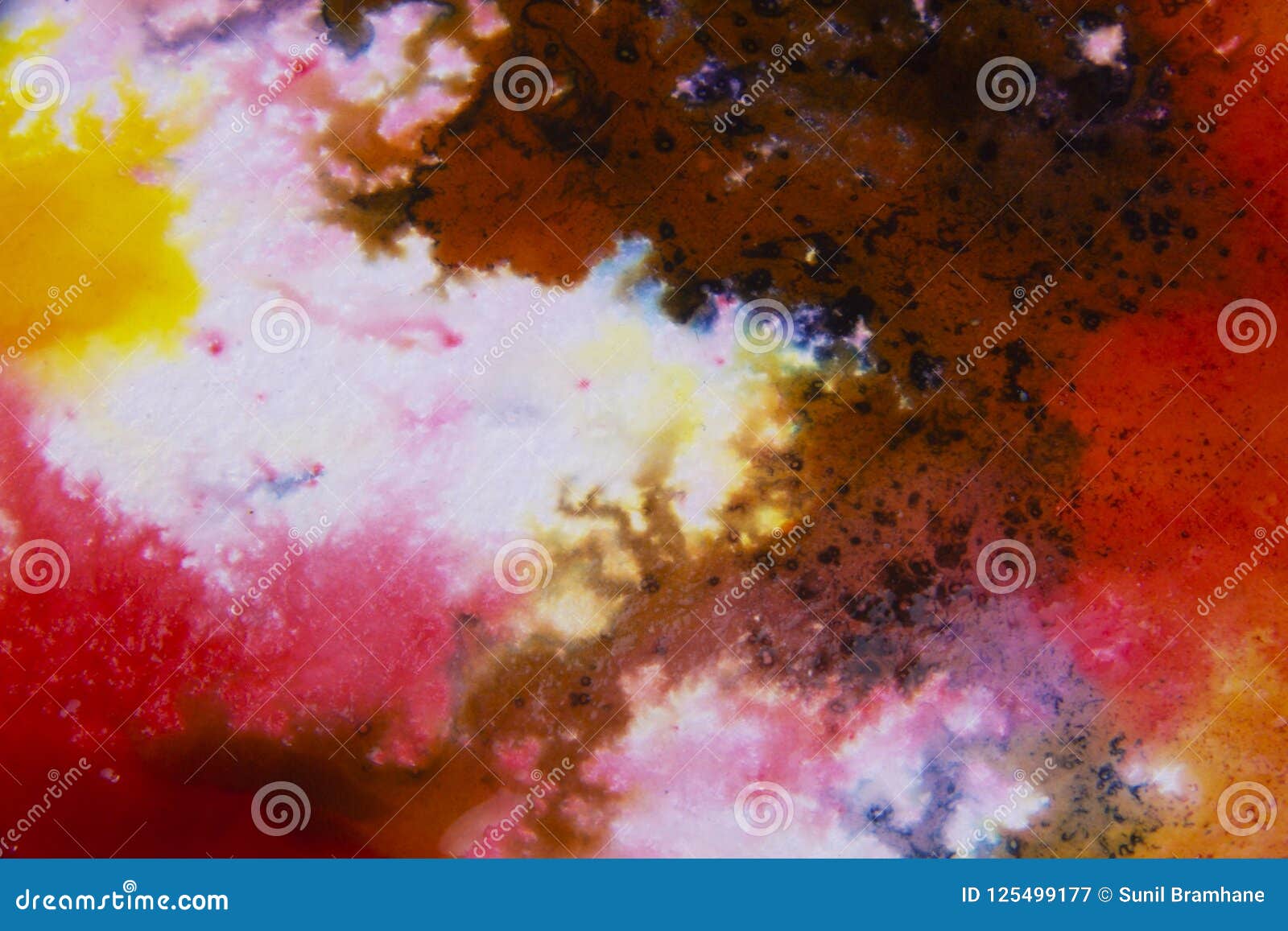 Color Splash holi stock image. Image of color, abstract - 125499177