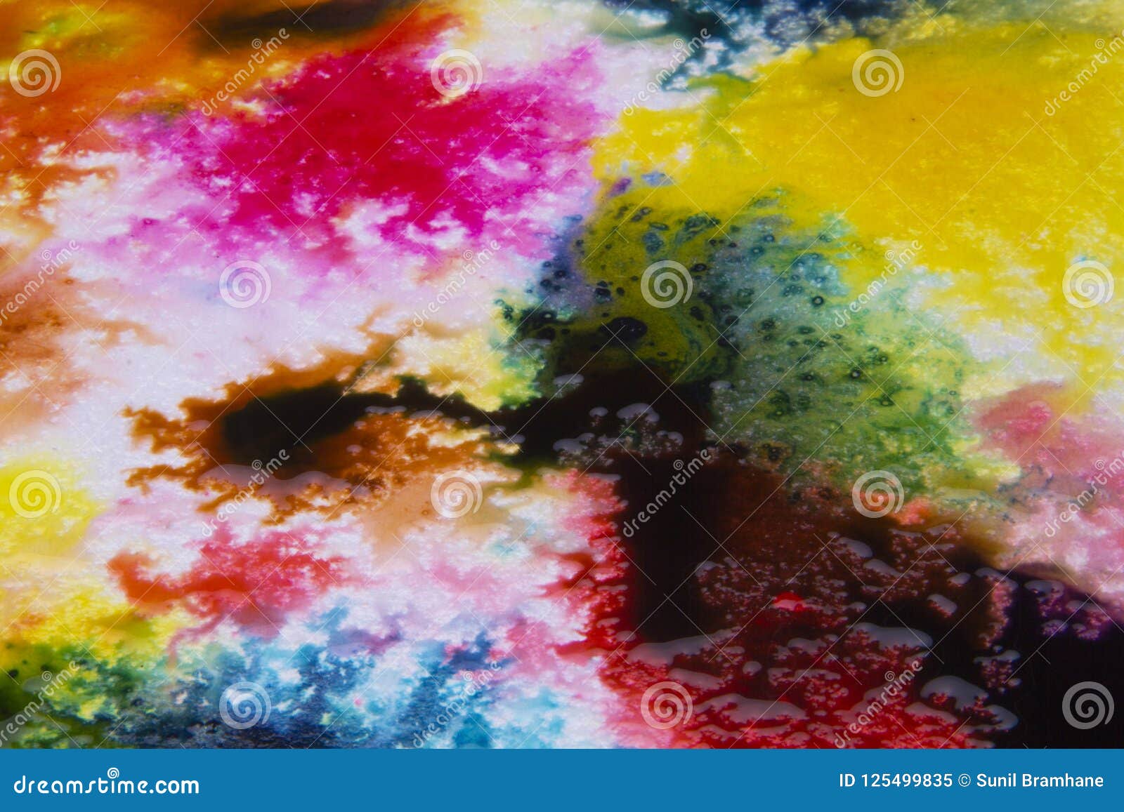 Color Splash holi stock image. Image of motion, colors - 125499835