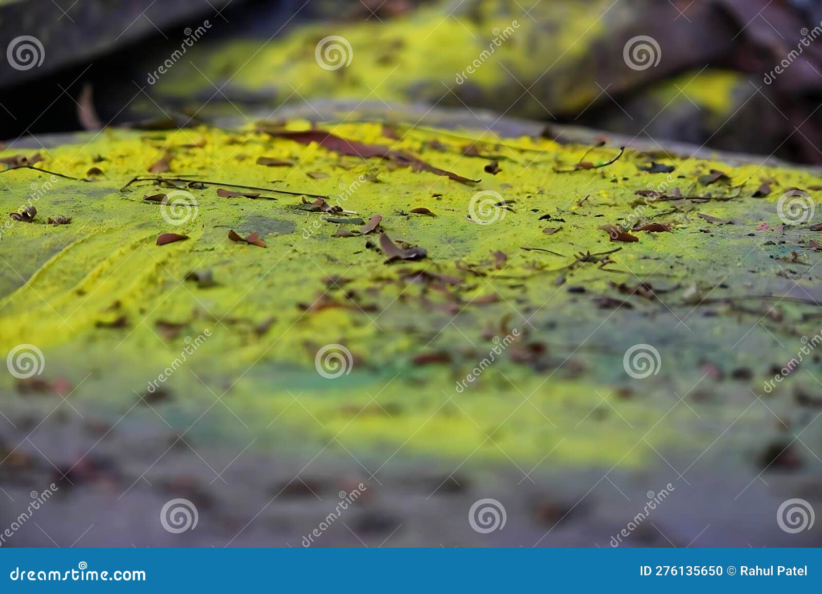 Color Spread on road stock photo. Image of spread, color - 276135650