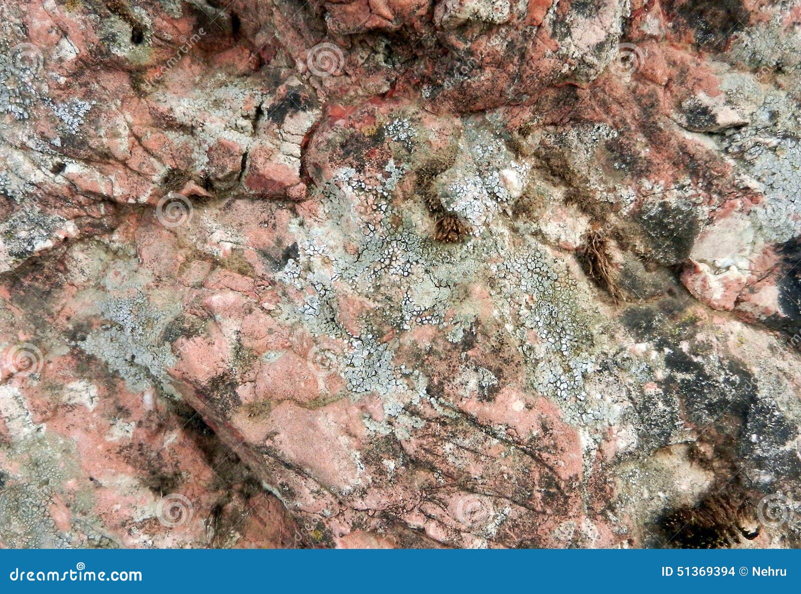 Color stone texture stock photo. Image of mottled, surface - 51369394