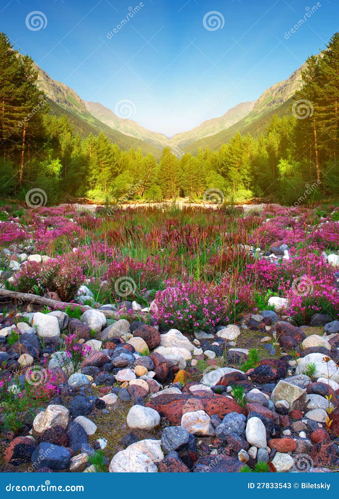 Color stones stock image. Image of natural, leaf, moss - 27833543