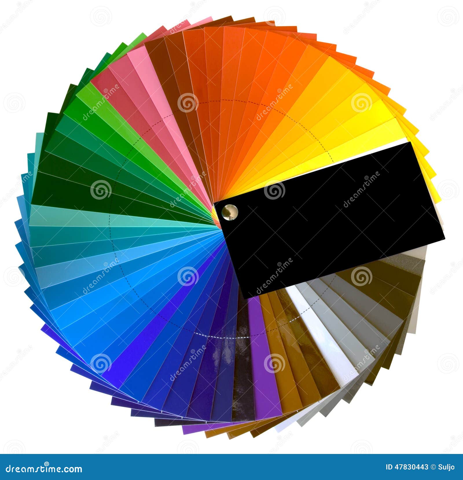 Color Swatch. Color Palette Guide. Vector Illustration | CartoonDealer ...