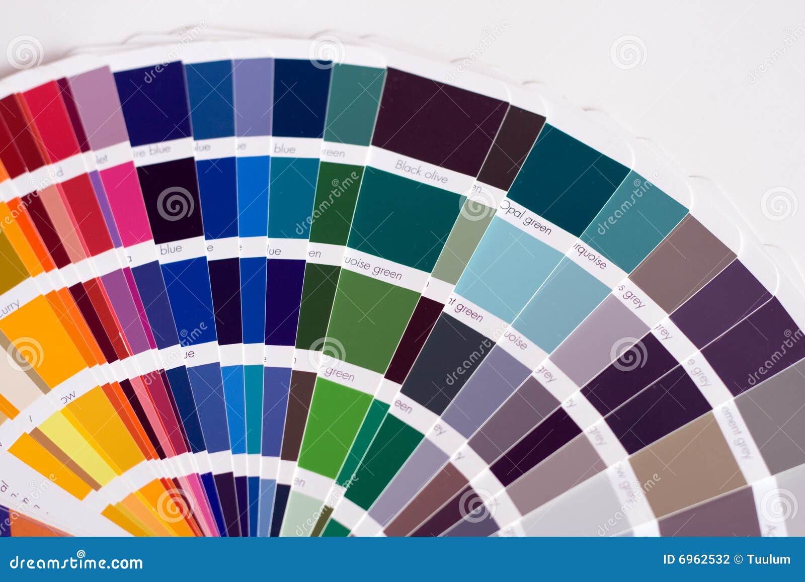 Color swatches stock photo. Image of paint, designer, renovation - 6962532
