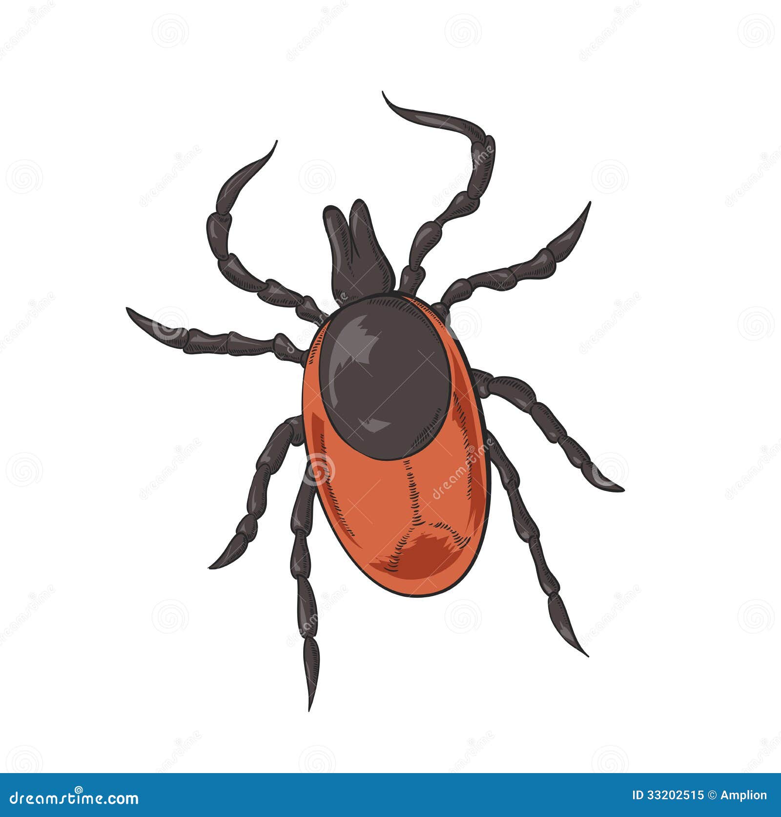 Color Tick stock illustration. Illustration of macro - 33202515