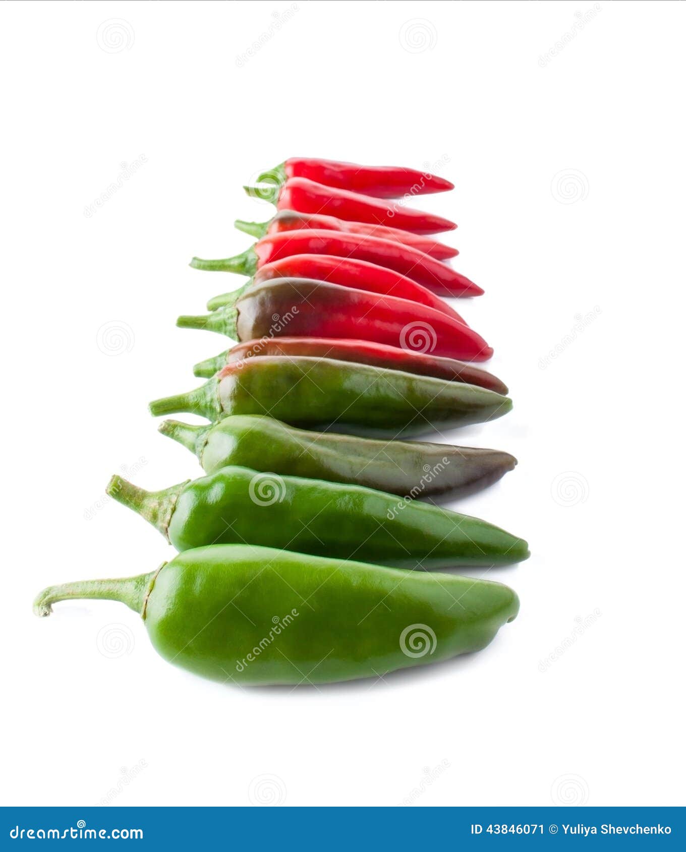 Color Transition with a Hot Peppers Stock Image - Image of transition ...