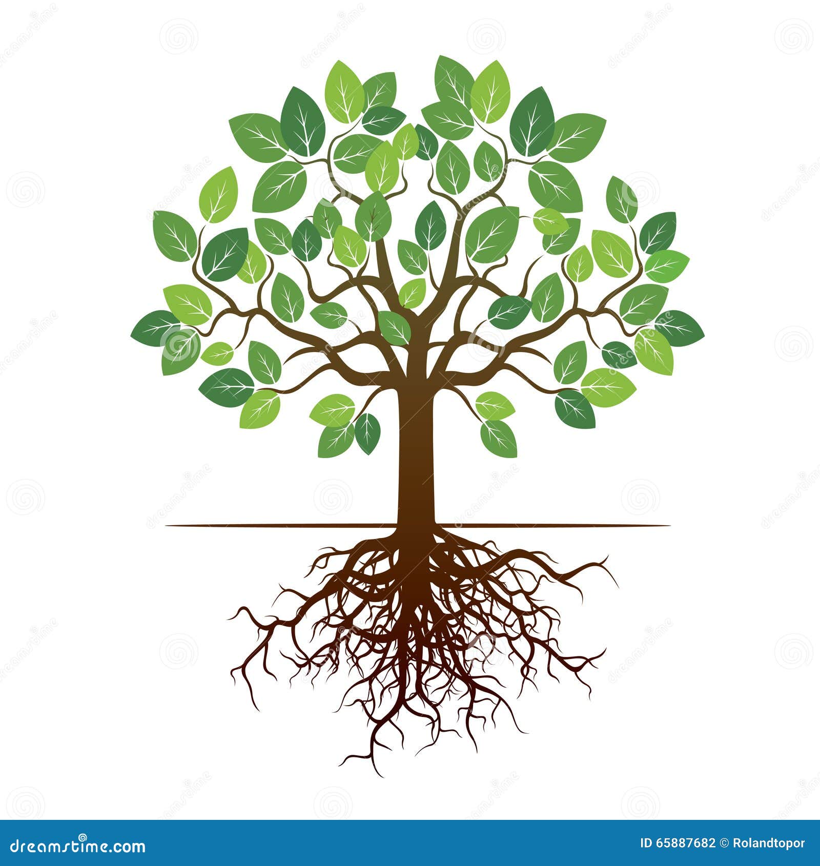Color Tree and Roots. Vector Illustration. Stock Illustration ...