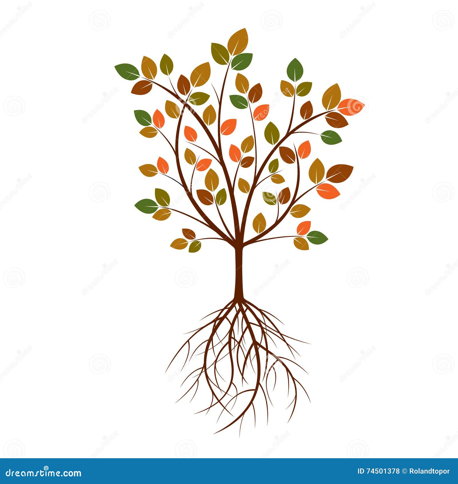 Roots Color Tree Royalty-Free Cartoon | CartoonDealer.com #142490027