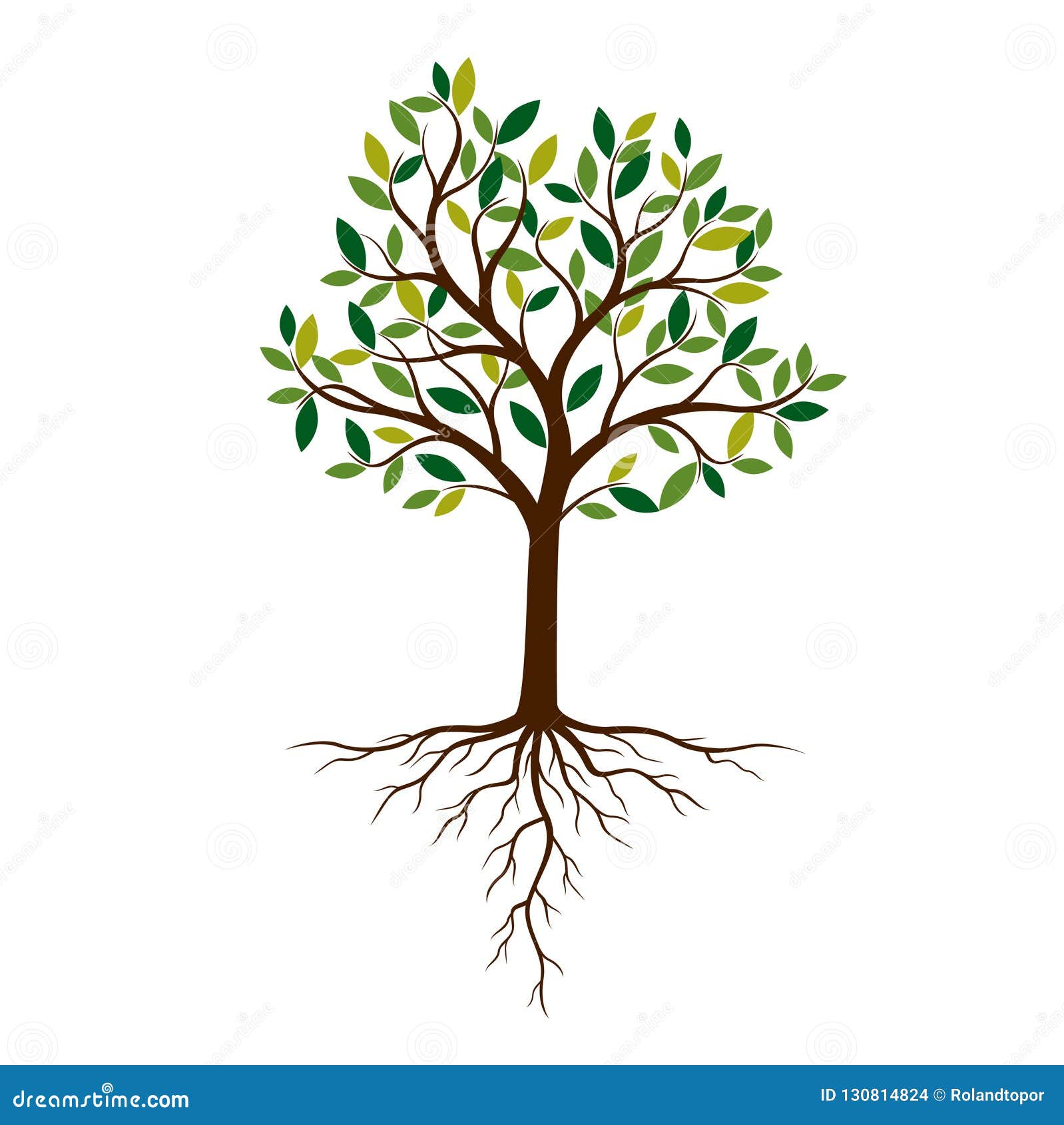 Color Tree and Roots. Vector Illustration Stock Illustration ...