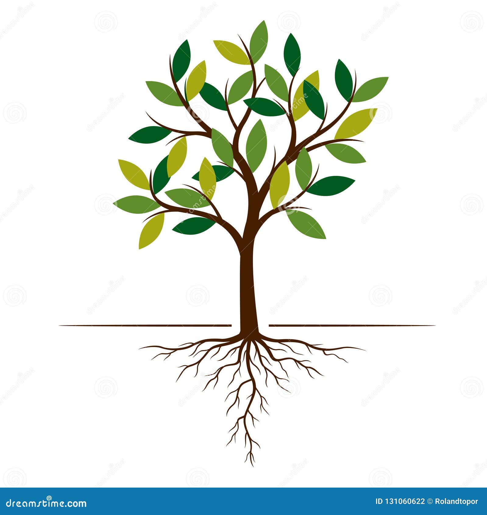 Colored Tree Drawing With Roots