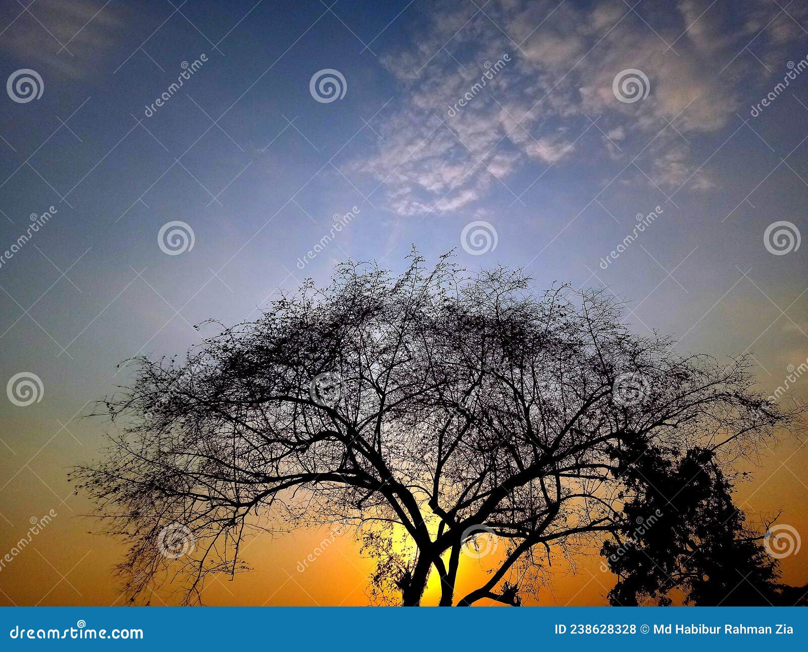 The color of twilight stock photo. Image of sunrise - 238628328