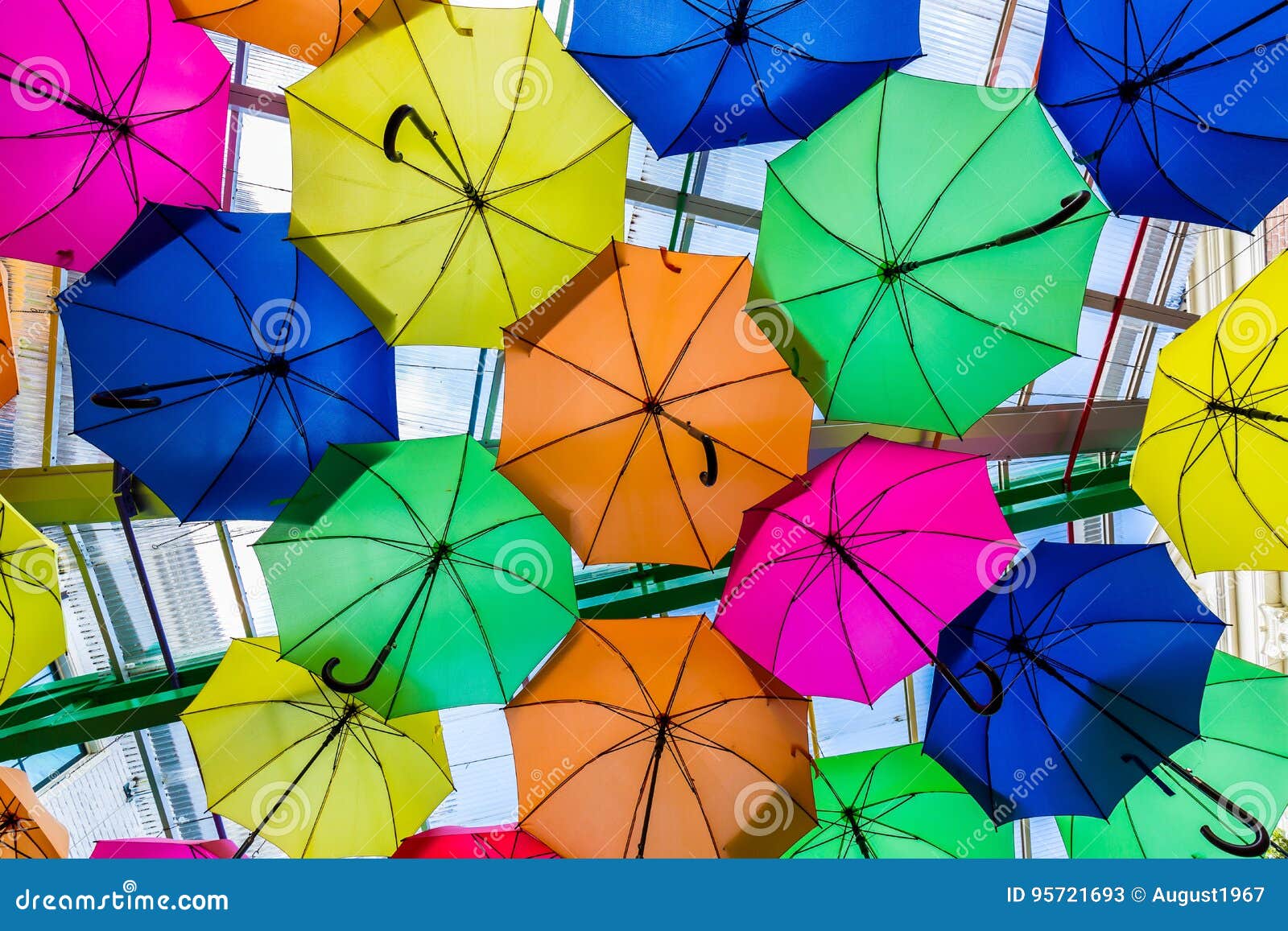 Color of umbrella stock image. Image of nature, autumn - 95721693
