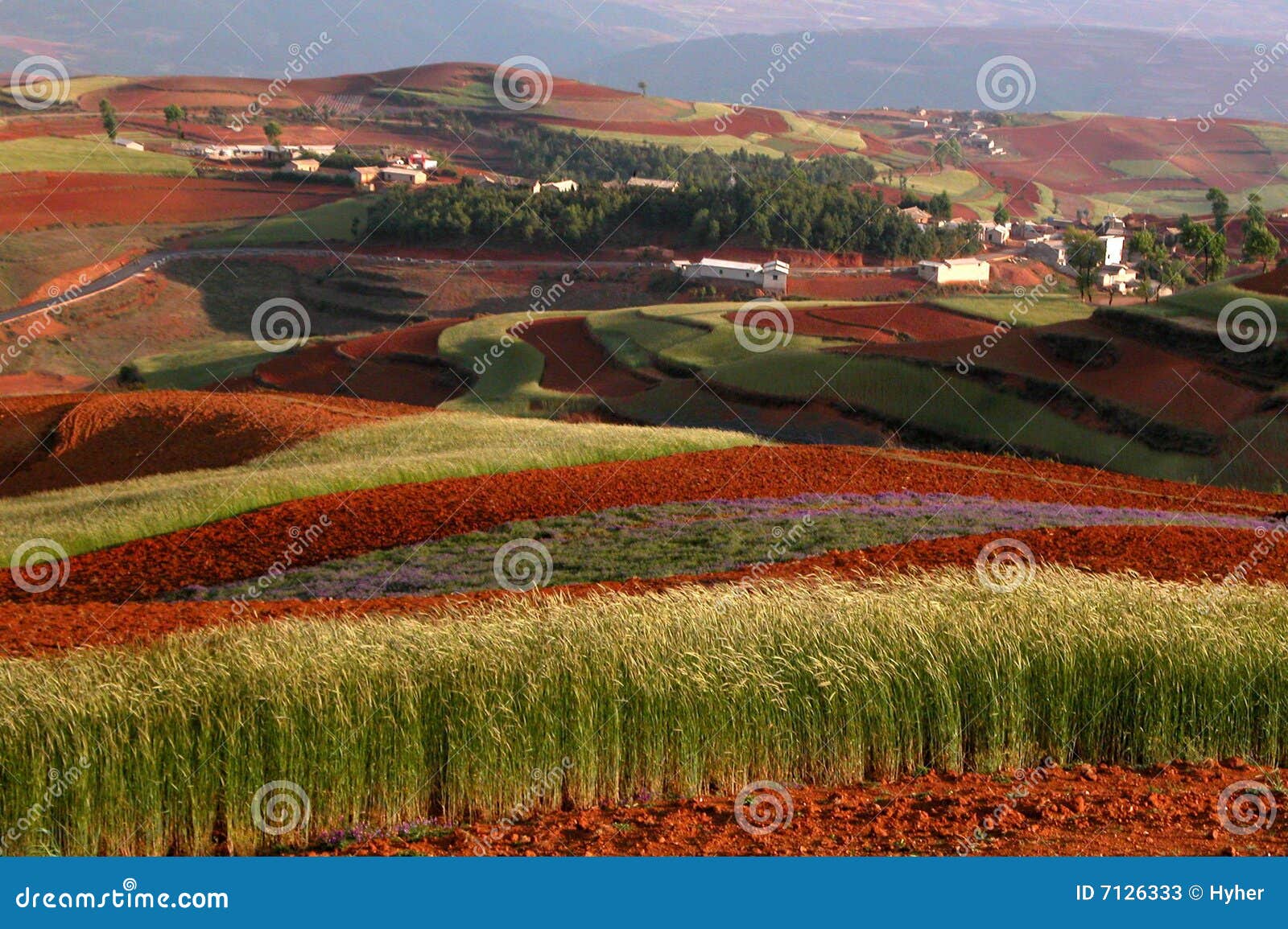 Color upland stock image. Image of grass, yunnan, landscape - 7126333