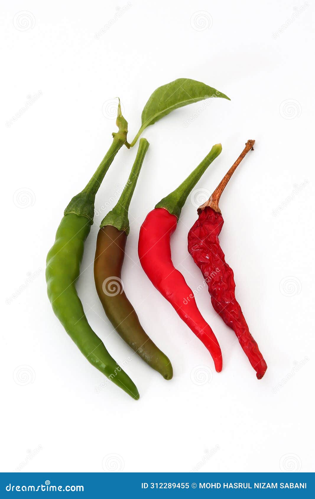Color Variations of Chili or Capsicum Spp with a White Background Stock ...