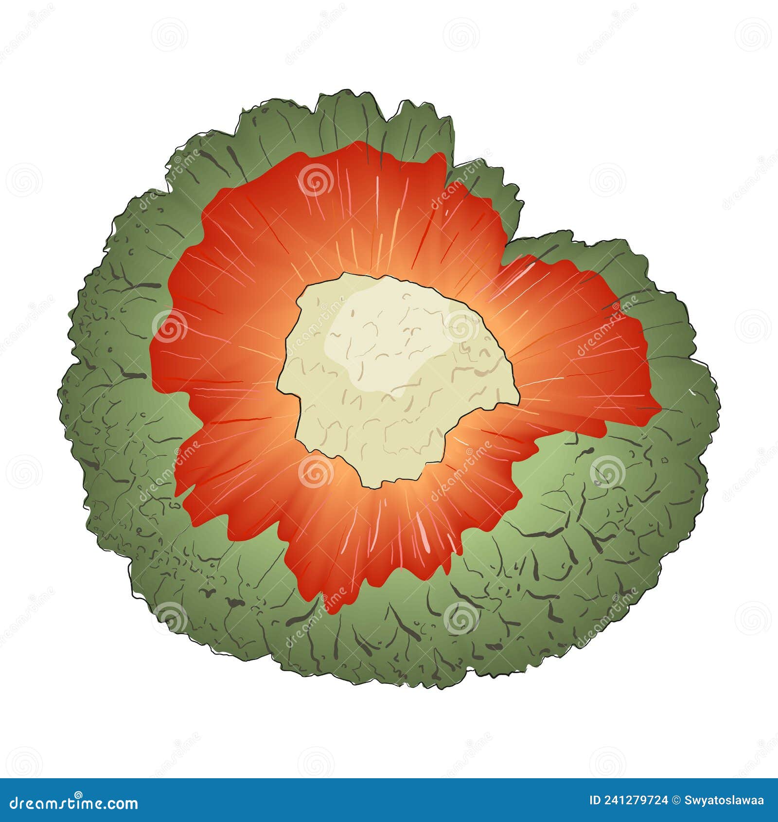 Vector Pandanus Tree Green Leaves | CartoonDealer.com #92669721