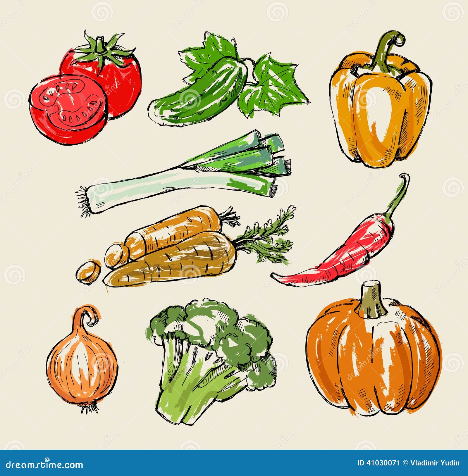 Color vegetables stock vector. Illustration of graphic - 41030071