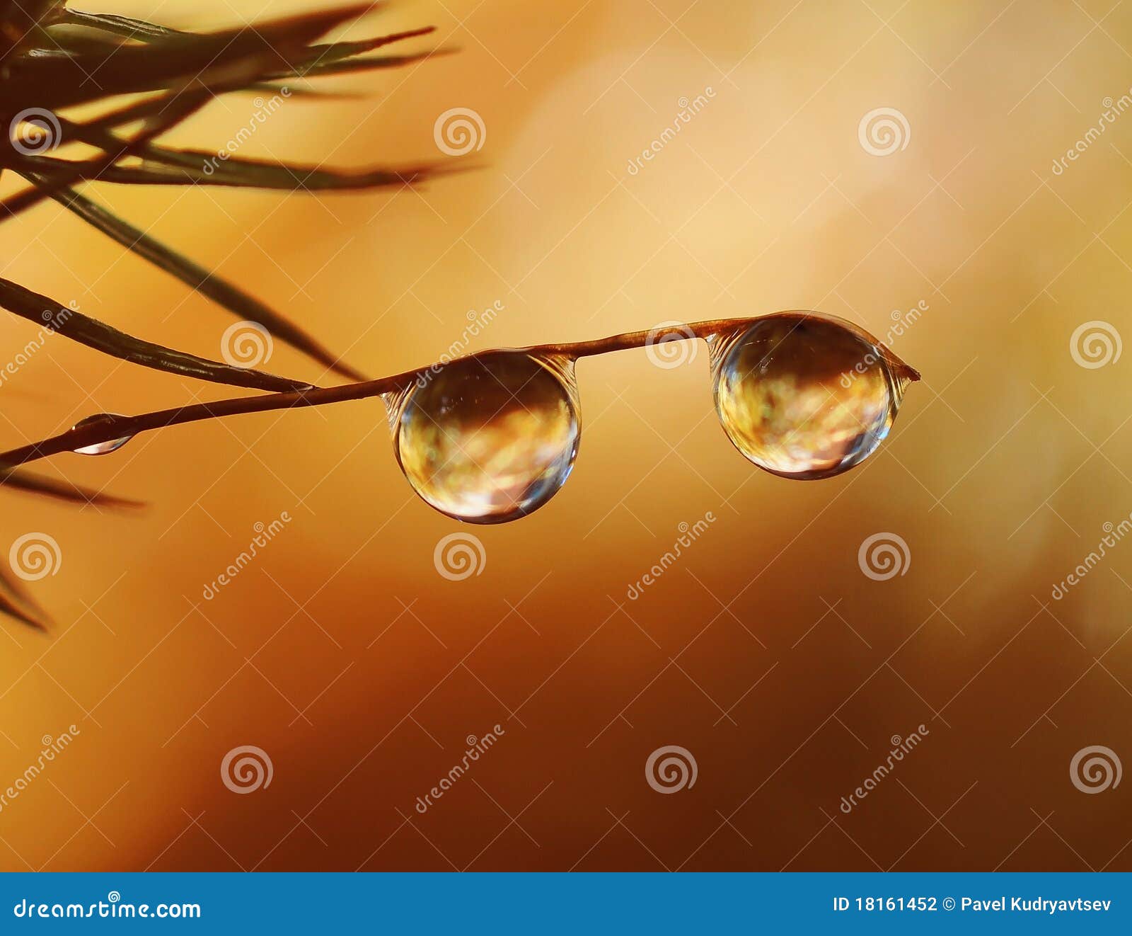 Color water drop stock photo. Image of closeup, color - 18161452