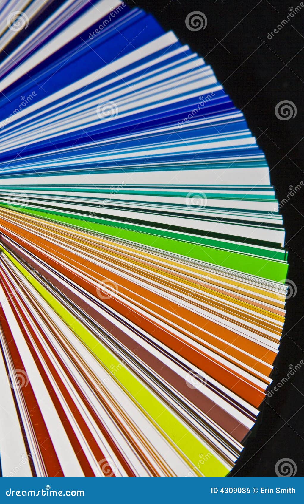 Color Wheel stock photo. Image of color, colors, gels - 4309086